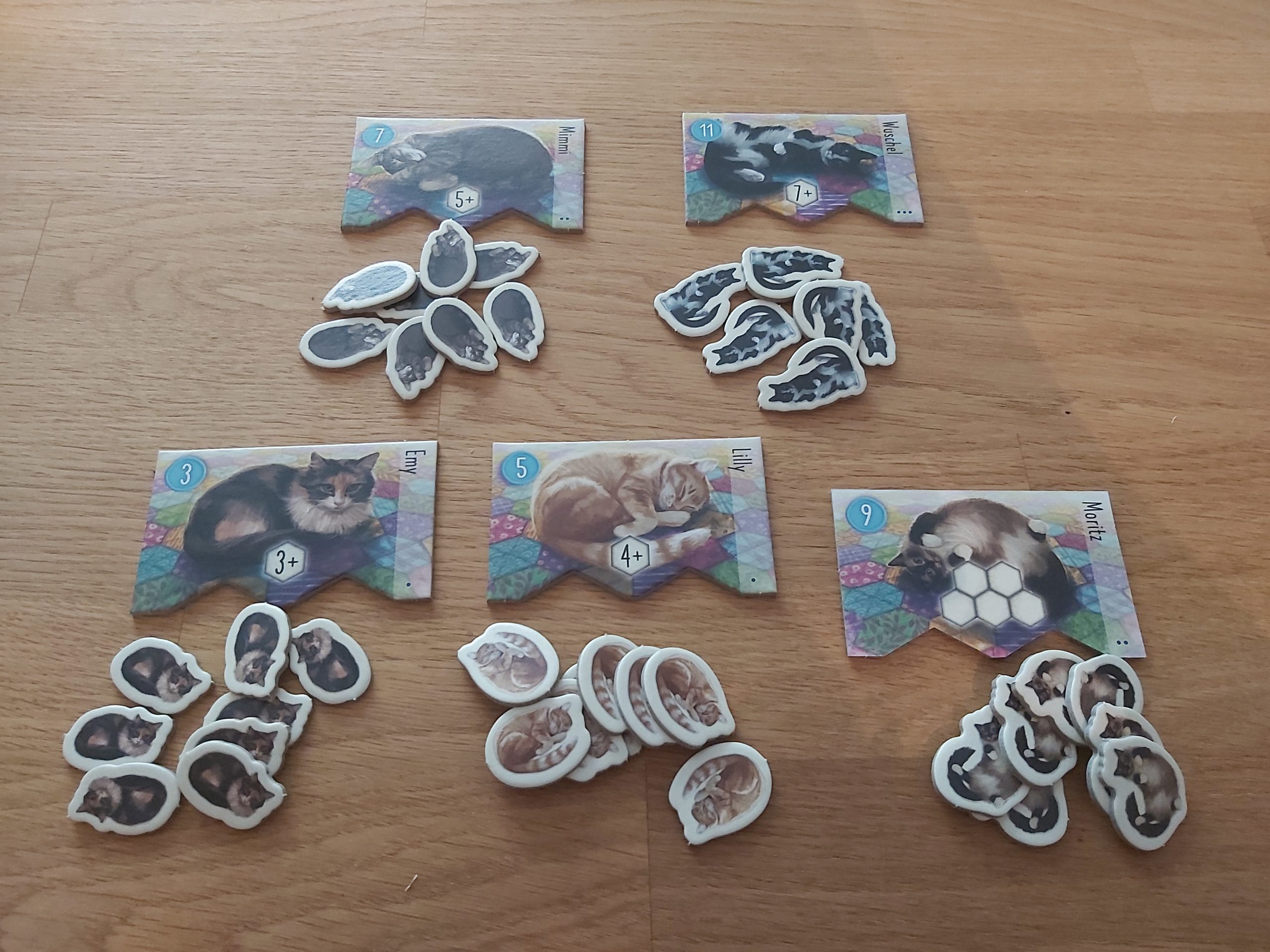 Komm her kleines Kätzchen - Calico von Ravensburger (Rezension ...